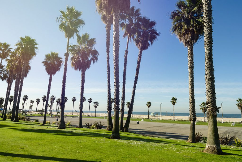 Environmental Organizations – Beaches & Harbors